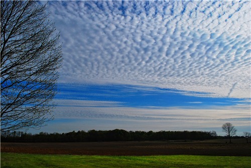 Clouds 101: Altocumulus radiatus (Ac ra) - Simply Selma