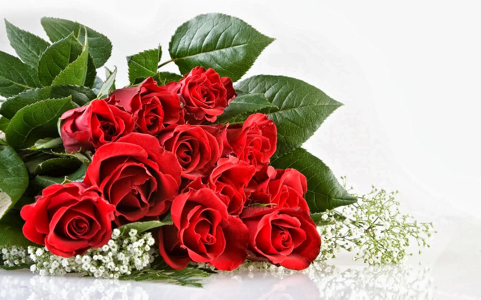 Sepadji Gallery: Kumpulan Bunga Mawar Merah