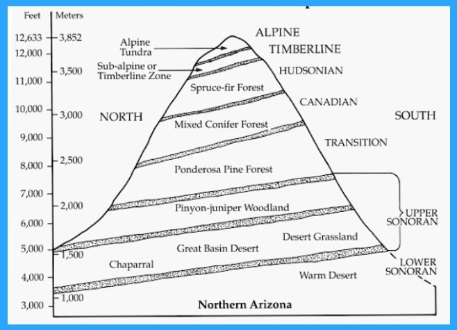 Written In Stone...seen through my lens: Hiking Mount Humphreys of the ...