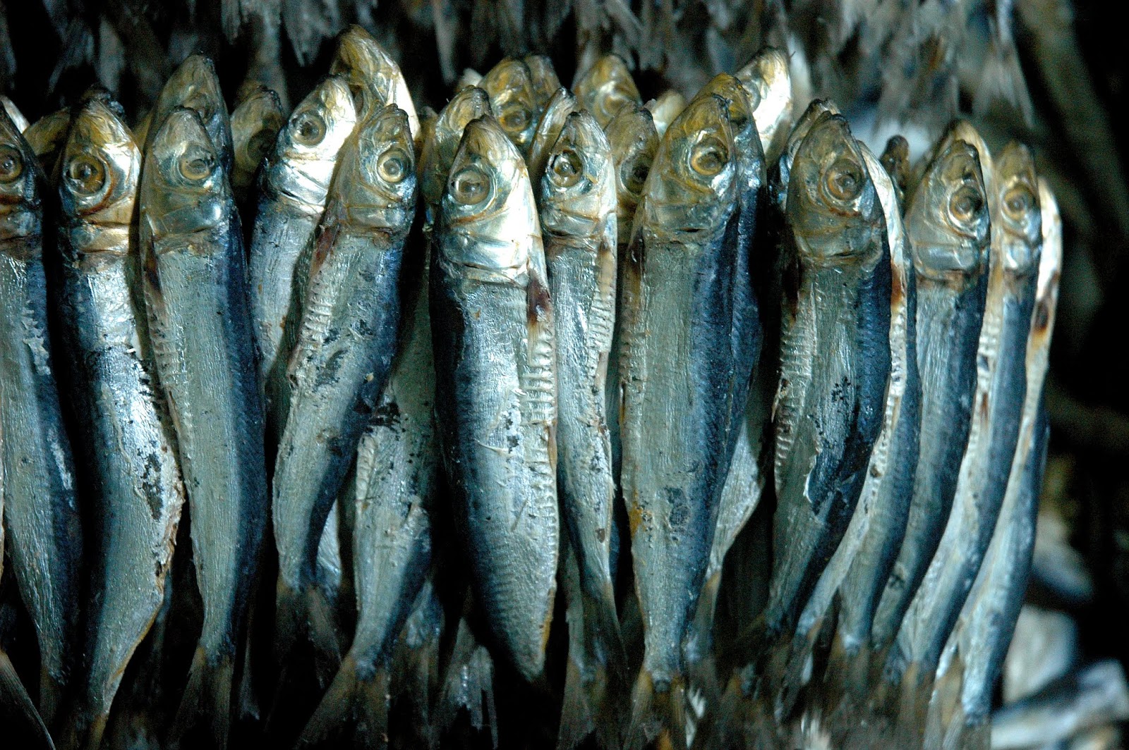 DUDE FOR FOOD: Flavors of Naga: Kinalas, Toasted Siopao, Pili Nuts And ...