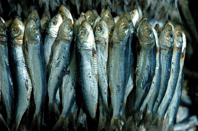 DUDE FOR FOOD: Flavors of Naga: Kinalas, Toasted Siopao, Pili Nuts And ...