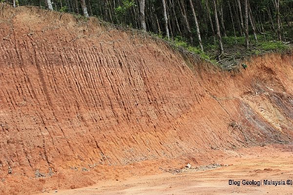 Blog Geologi Malaysia: Singkapan Batu Pasir Mangking, Pulau Tawar