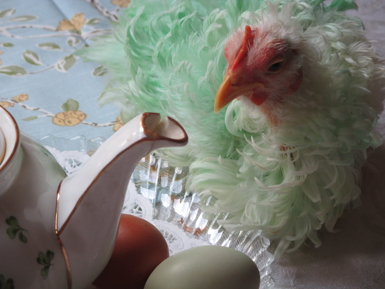 From Cedar Pond to Laughing Dove Farm : Silly-Frilly Chicken Is Wearing ...