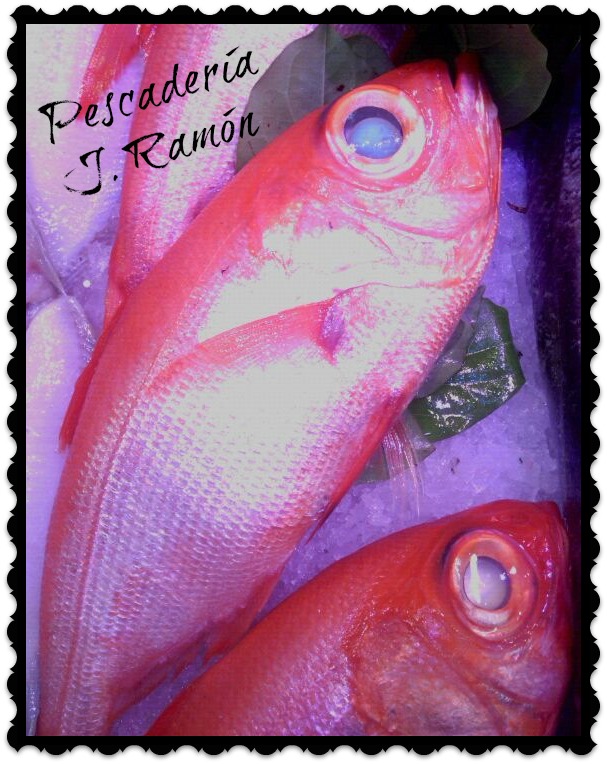 Pescadería J.Ramón: EL PESCADO DEL DÍA: LA PALOMETA ROJA Pescadería J.Ramón: EL PESCADO DEL DÍA: LA PALOMETA ROJA