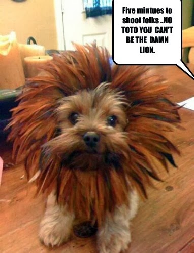 Thinking Pink: Top Five LOL Dogs of the Day