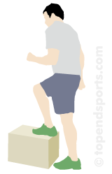 Coretan IRwan_Abby™93: Harvard Step-Ups Test