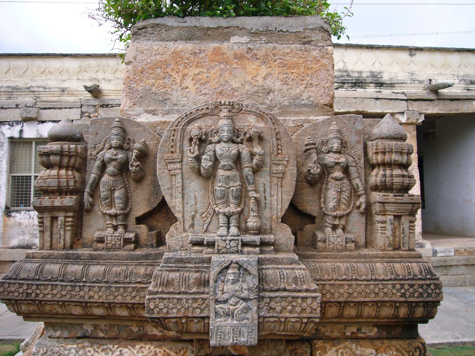 The Wilde Goose: Seringapatam