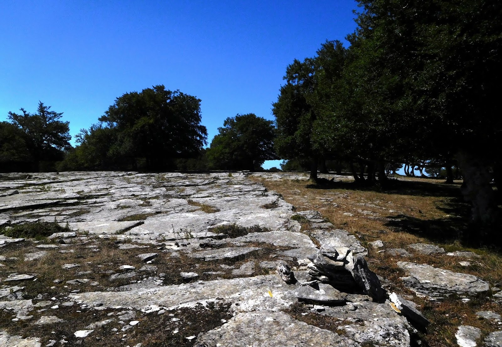 MUGAGA y MUGAGA BI / IGESTI desde la TRINIDAD DE ITURGOIEN 53