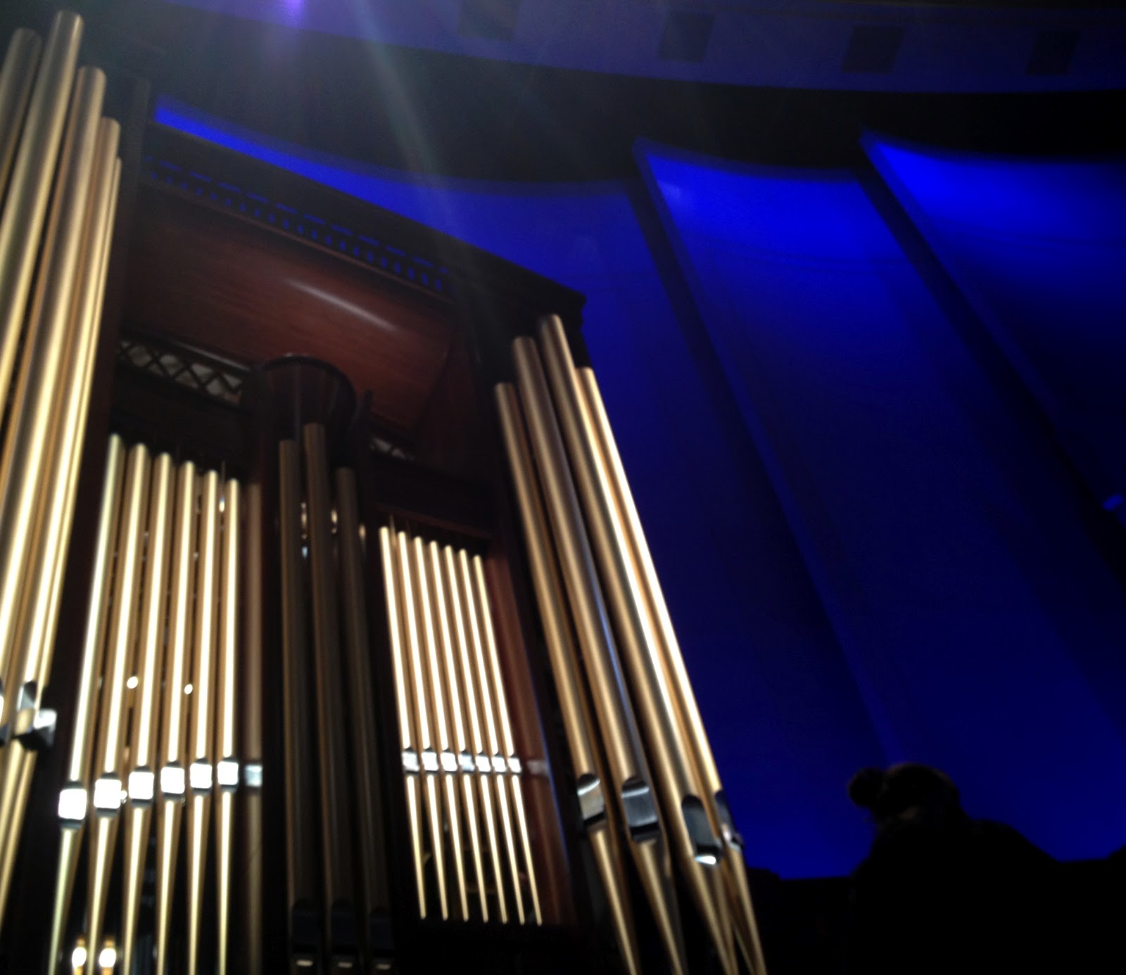 Organtuan - light-in-leaves