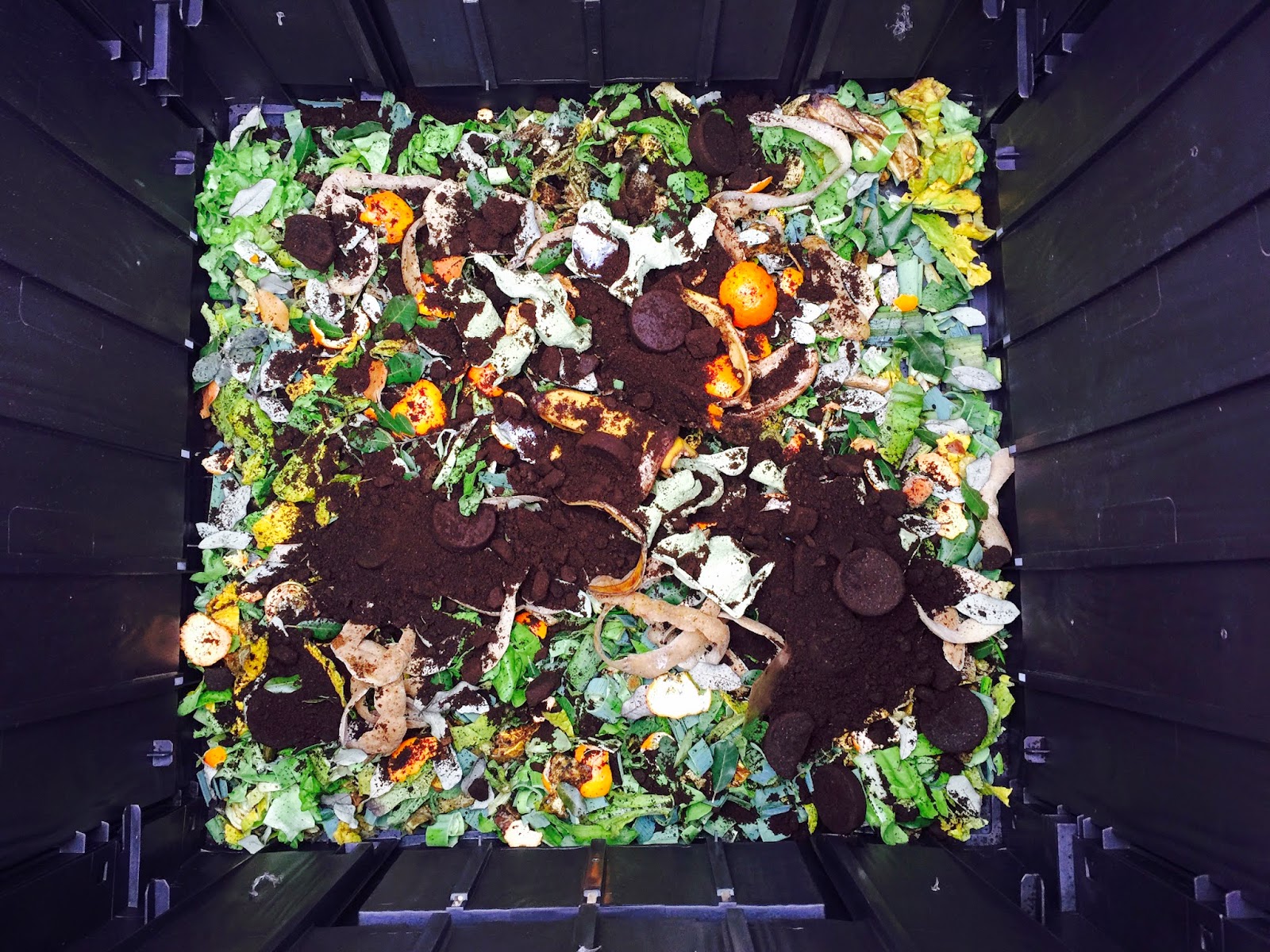 EL HUERTO DEL PRÍNCIPE : LABORES DE COMPOSTAJE