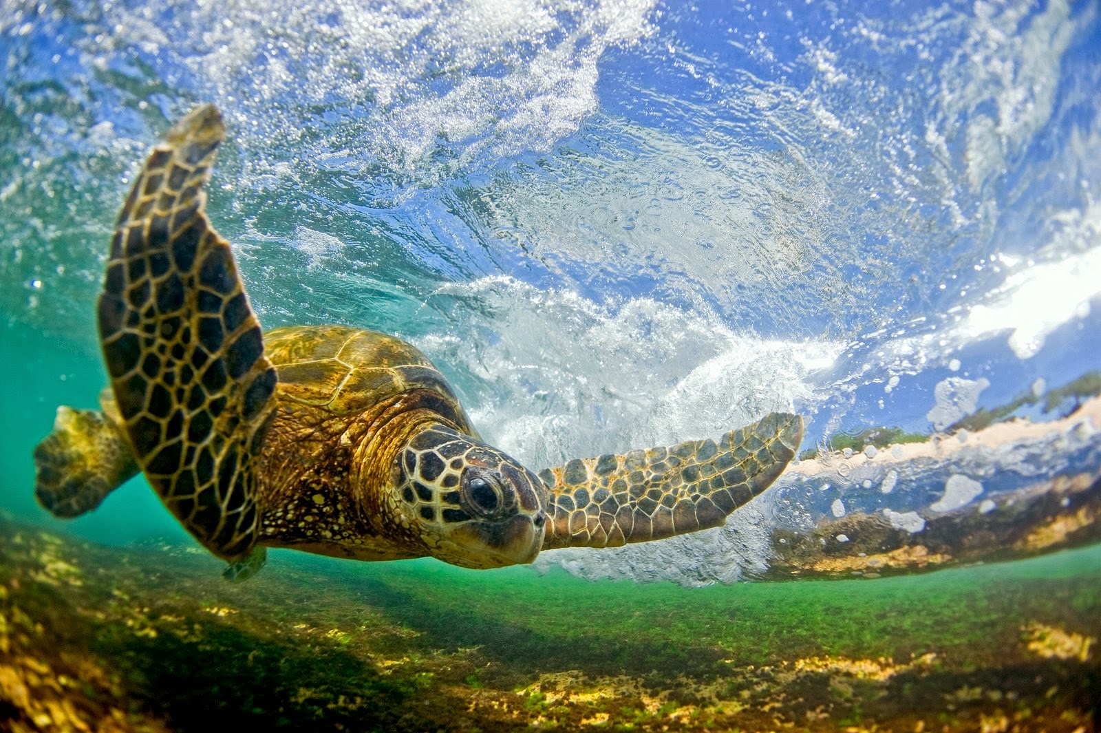 FLUMME: CLARK LITTLE PHOTOGRAPHY