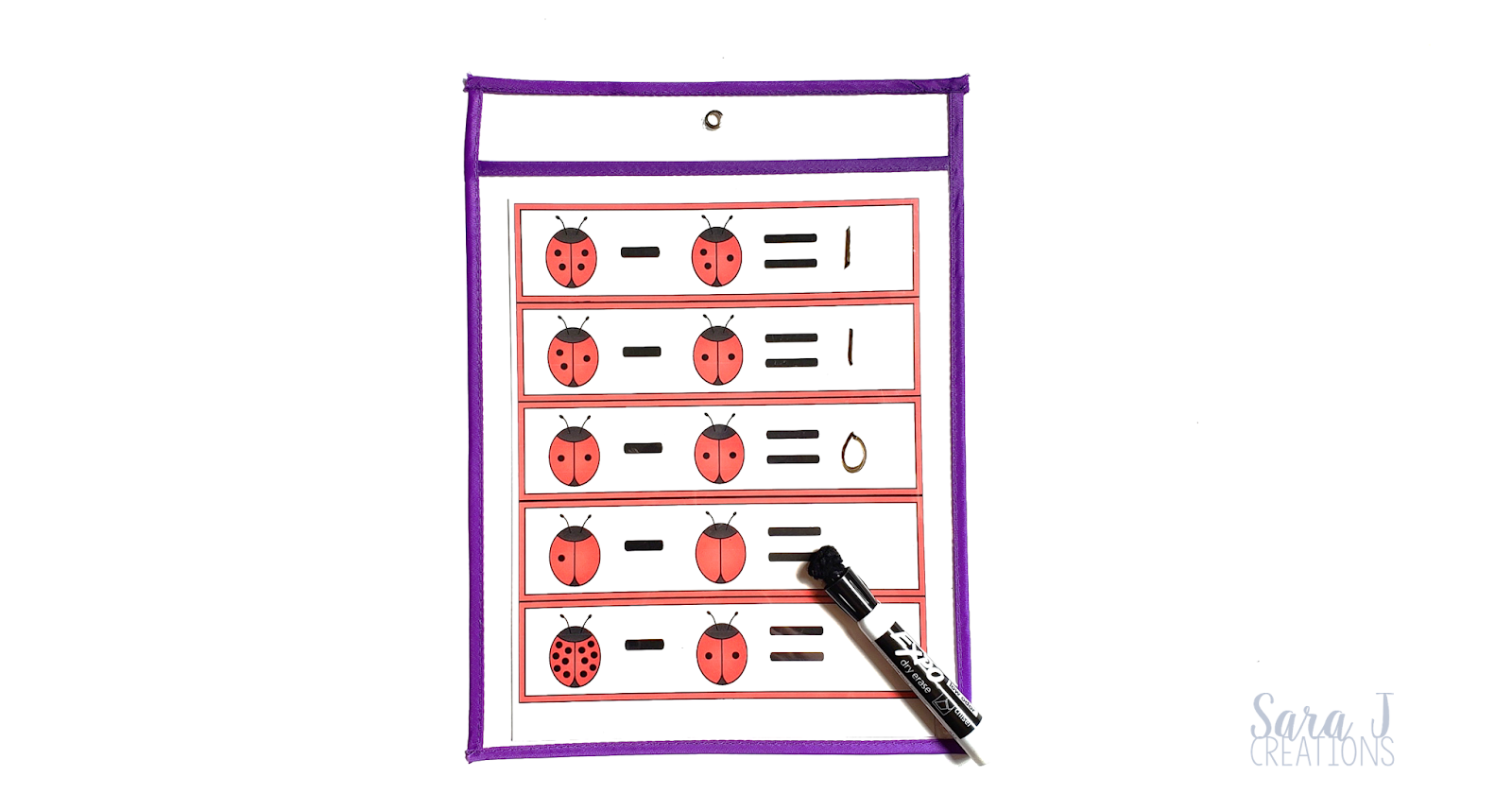 Ladybug Subtraction Write and Wipe Cards | Sara J Creations