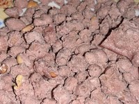 Receitas de Angola: Paracuca