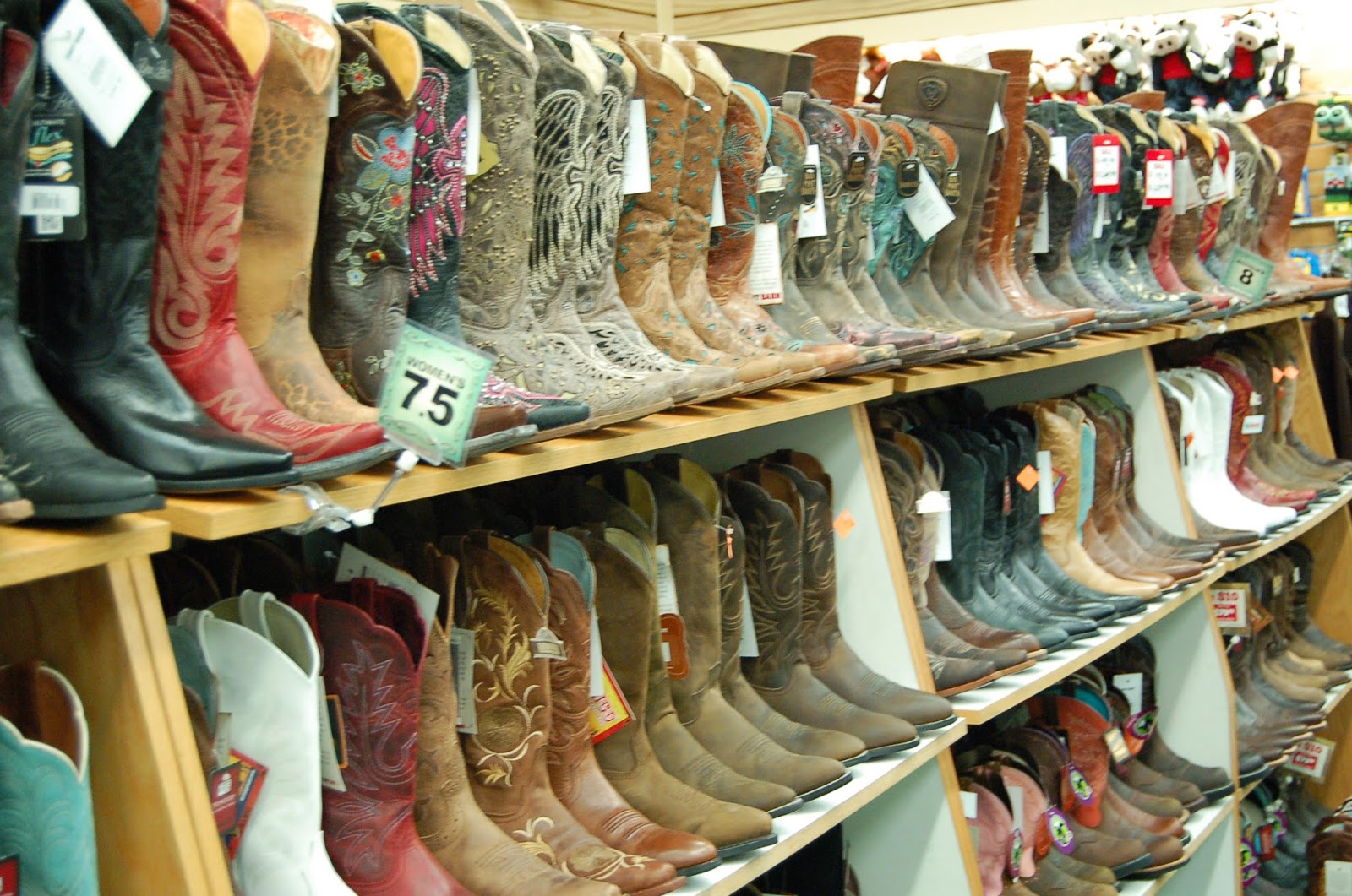 Cha Cha Living: Cowboy Boot Basics - Part 1