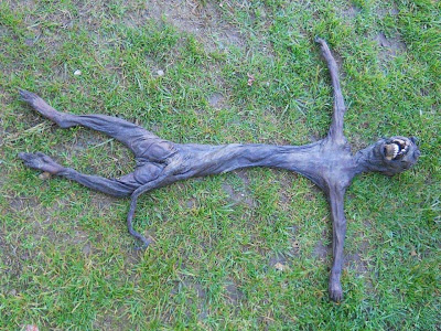 Phantoms and Monsters - Real Cryptid Encounter Reports - Fortean ...