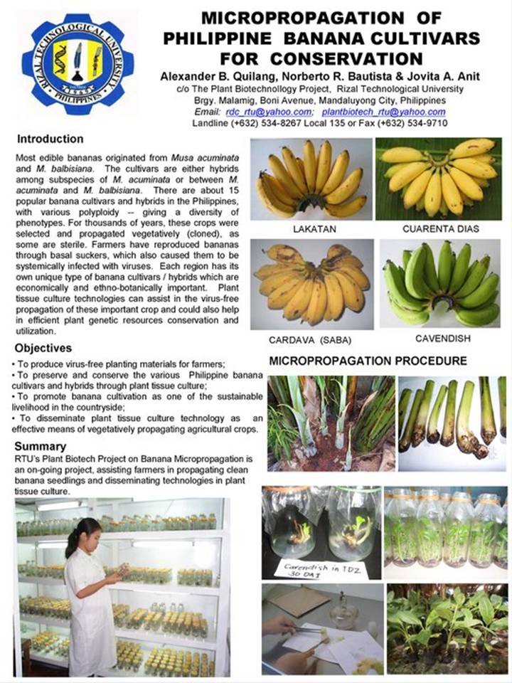 The RTU Plant Biotech & Urban Agriculture Project: The Banana ...