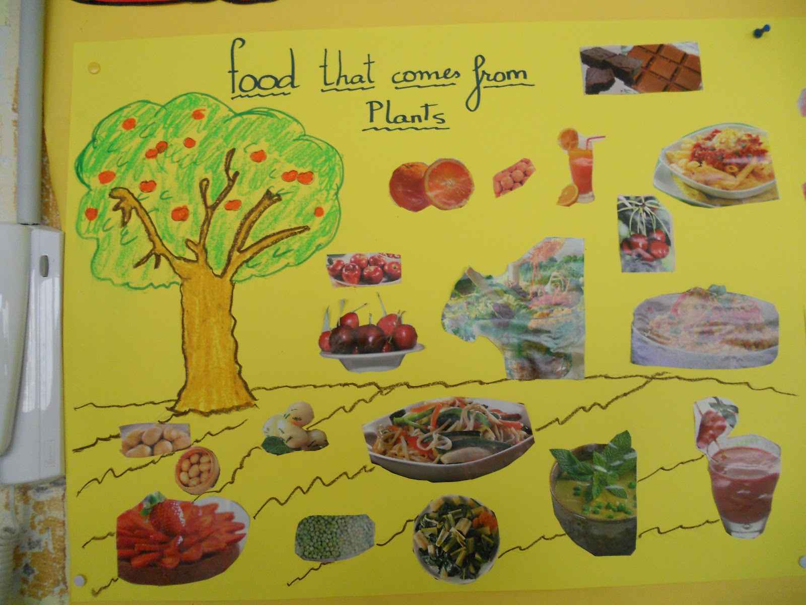 OUR ENGLISH CORNER: WHAT CAN YOU TELL US ABOUT THE ORIGIN OF FOOD, 1st ...