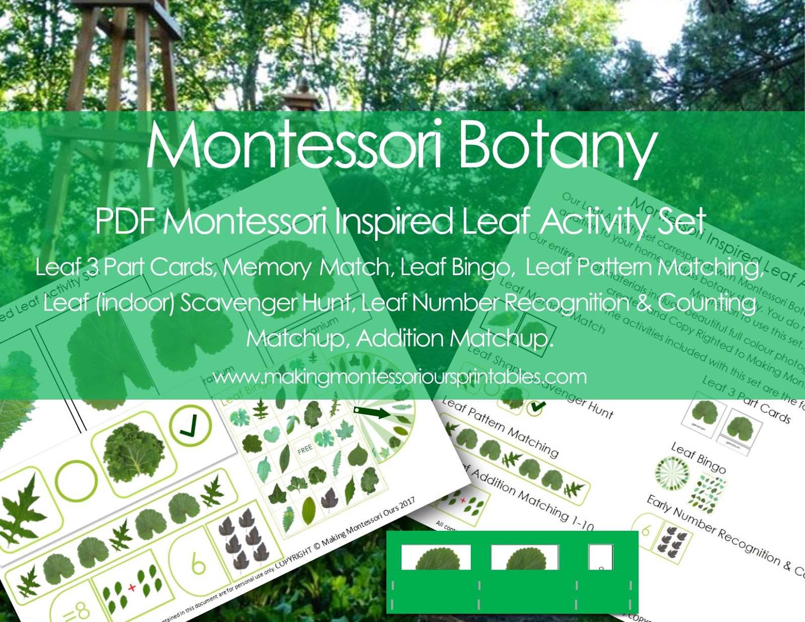 Playing with Leaves, Montessori Botany Activities at Home - "Making ...