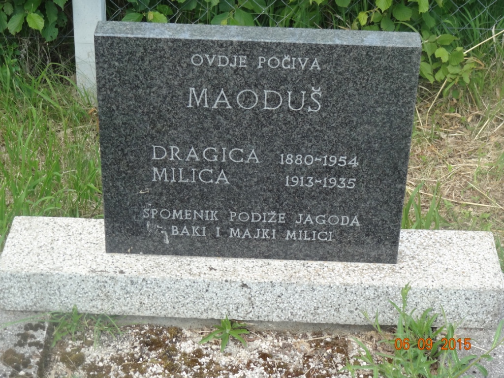 Klaich (Kljaić) Family History