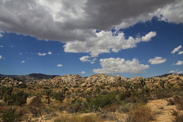 My Scenic Byway: High Desert Beauty