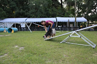 Tips, Tricks, and Training: Using The Tip Assist To Improve Teeter ...