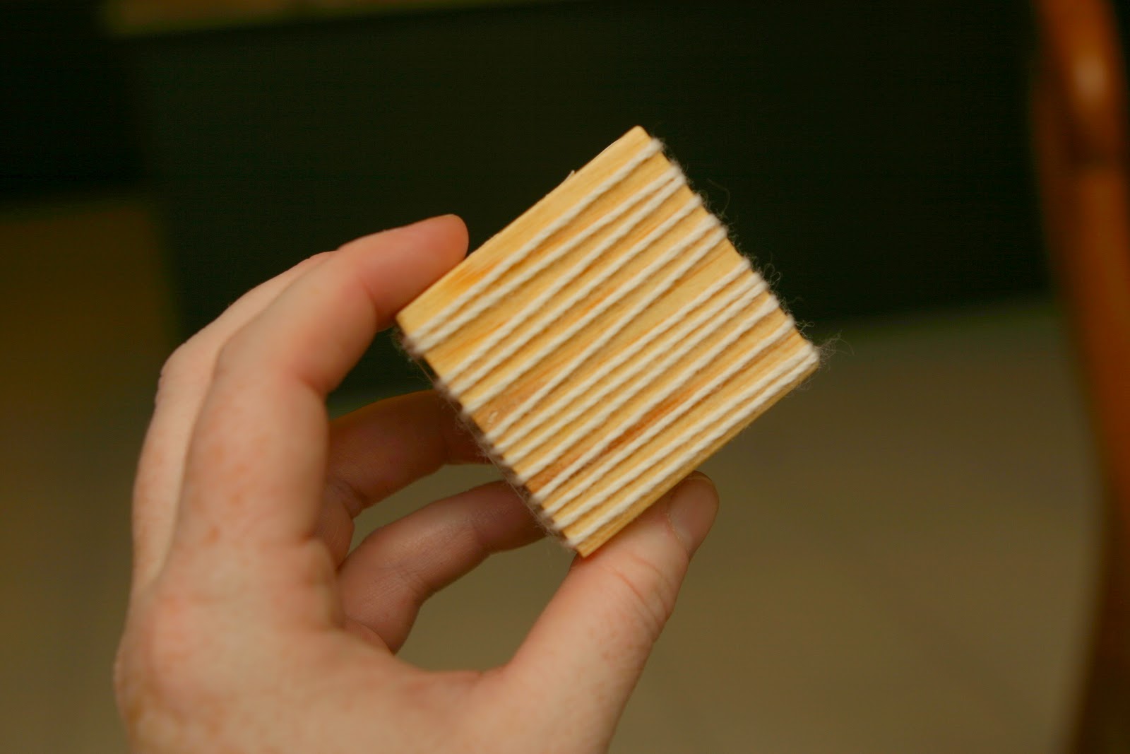 Max & Me: Pinterest Challenge # 2