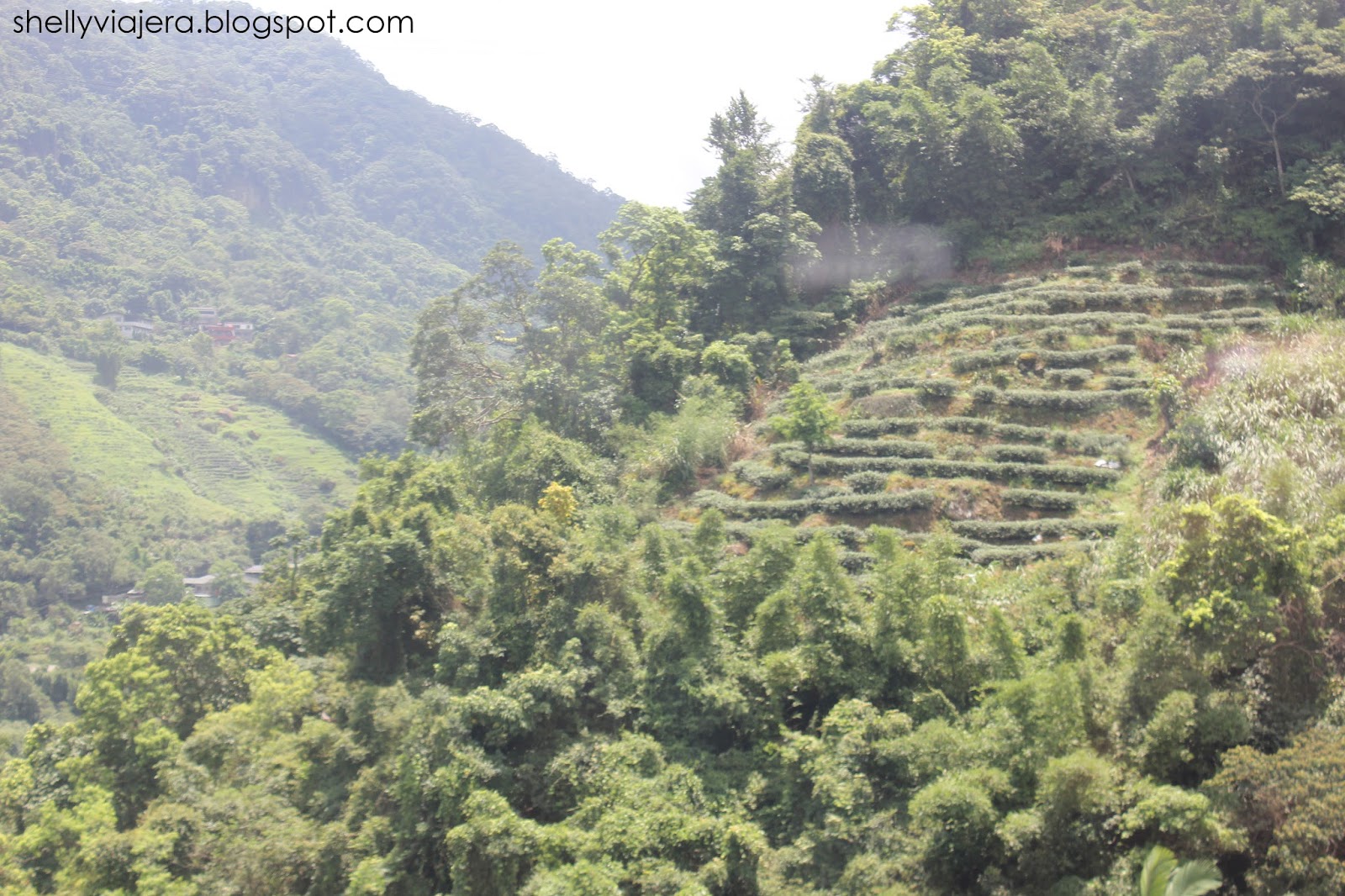 When in Taiwan: Wenshan District, Taipei - Shelly Viajera Travel