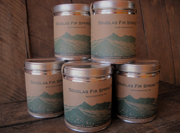 Girl In A Tree: Gift Guide 2012