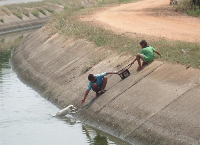 Reflejos de Luz: Bondad humana