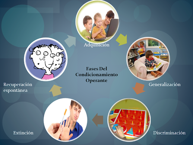 teorías del desarrollo humano: 2016