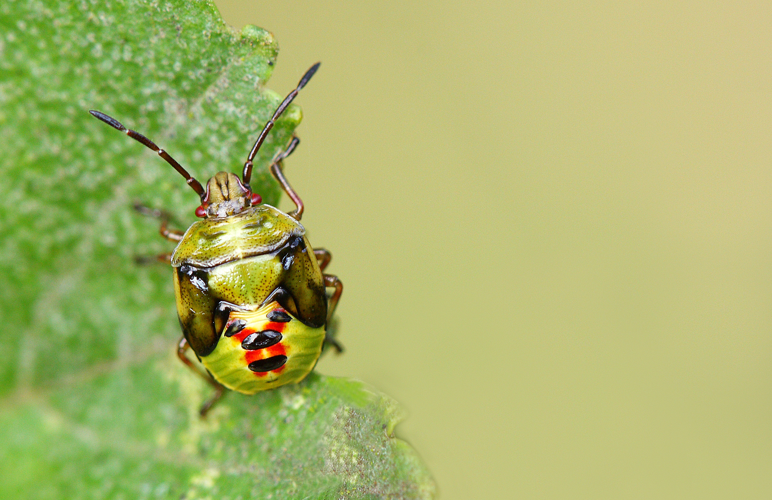 JJ's Photographic nature blog: September 2012