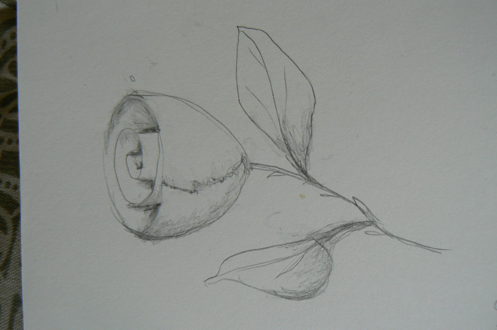 Time for Art: Digging Drawing