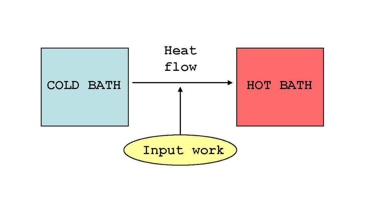 Quantum Gazette: Quantum refrigerators and biological cooling Quantum Gazette: Quantum refrigerators and biological cooling