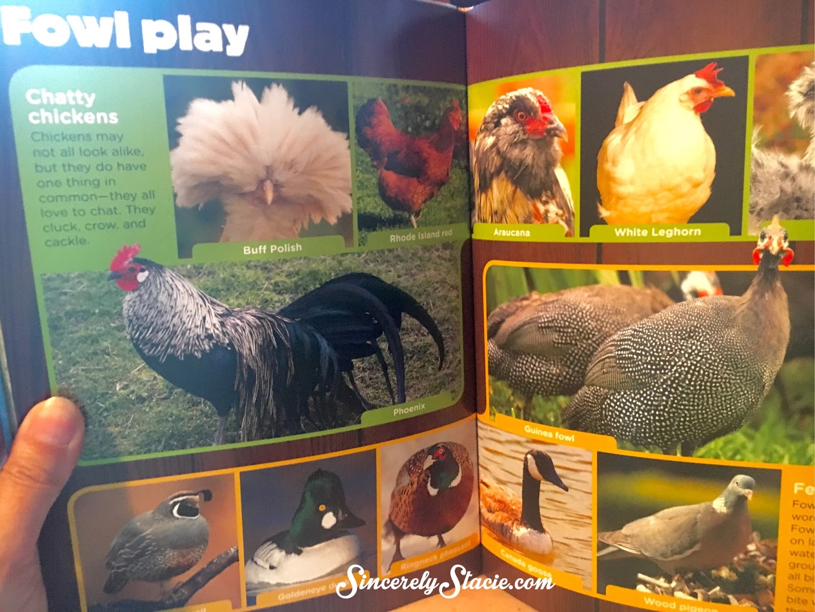 Children's Book Review: Animal Planet Animal Bites Farm and Wild ...