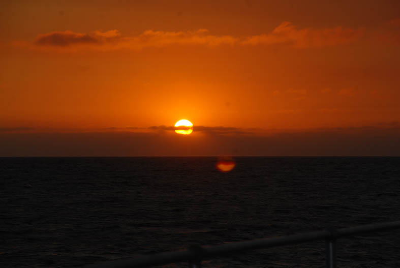 garden delights: SkyWatch ~ Sunset, Moonrise, Moonset