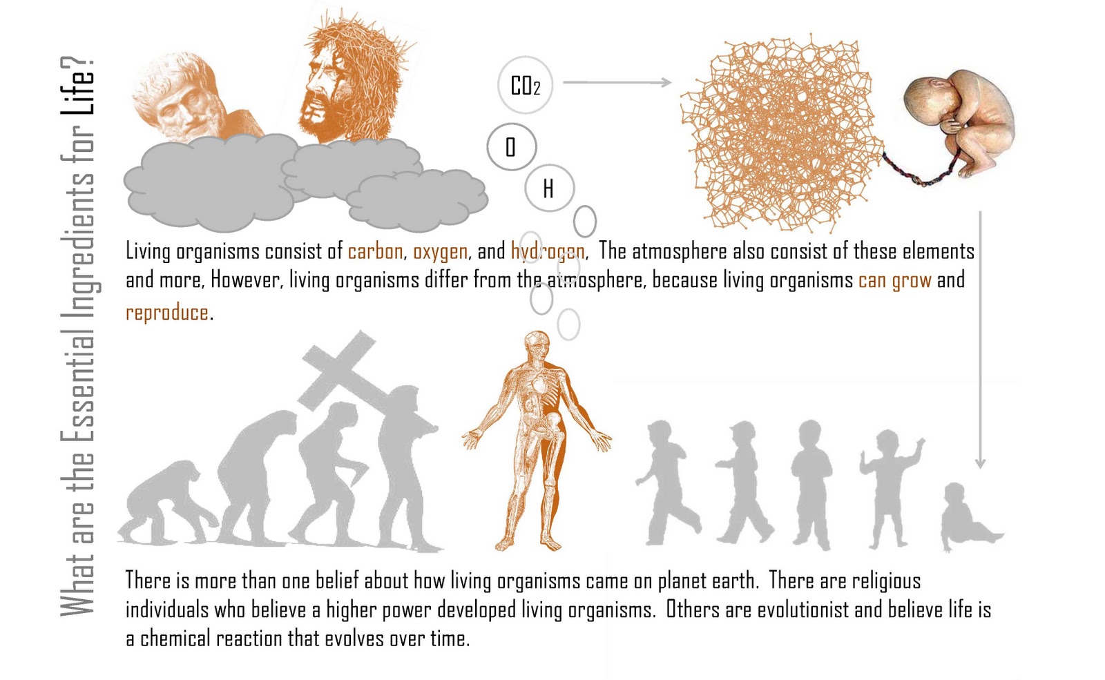 Theoretical Design- Spring '11: Phara Lafleur Concept of The Essentials ...
