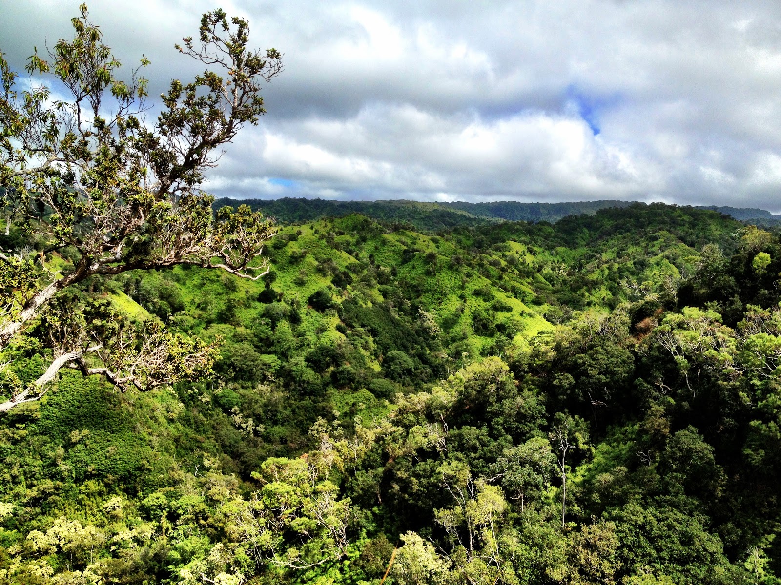 Na Pu'u o Hawai'i : Opae'ula Valley: An experience you won't forget