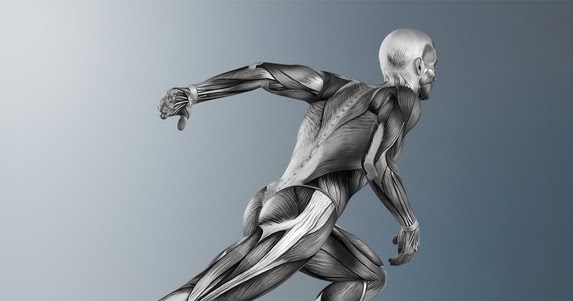 Biomecanica - legătura dintre pelvis și umeri | Viața îți aparține