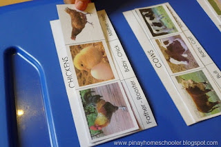 Farm Families (FREE Sorting Cards!) | The Pinay Homeschooler