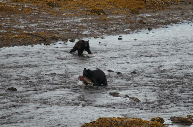 On The Rock with Lenard & Debbie