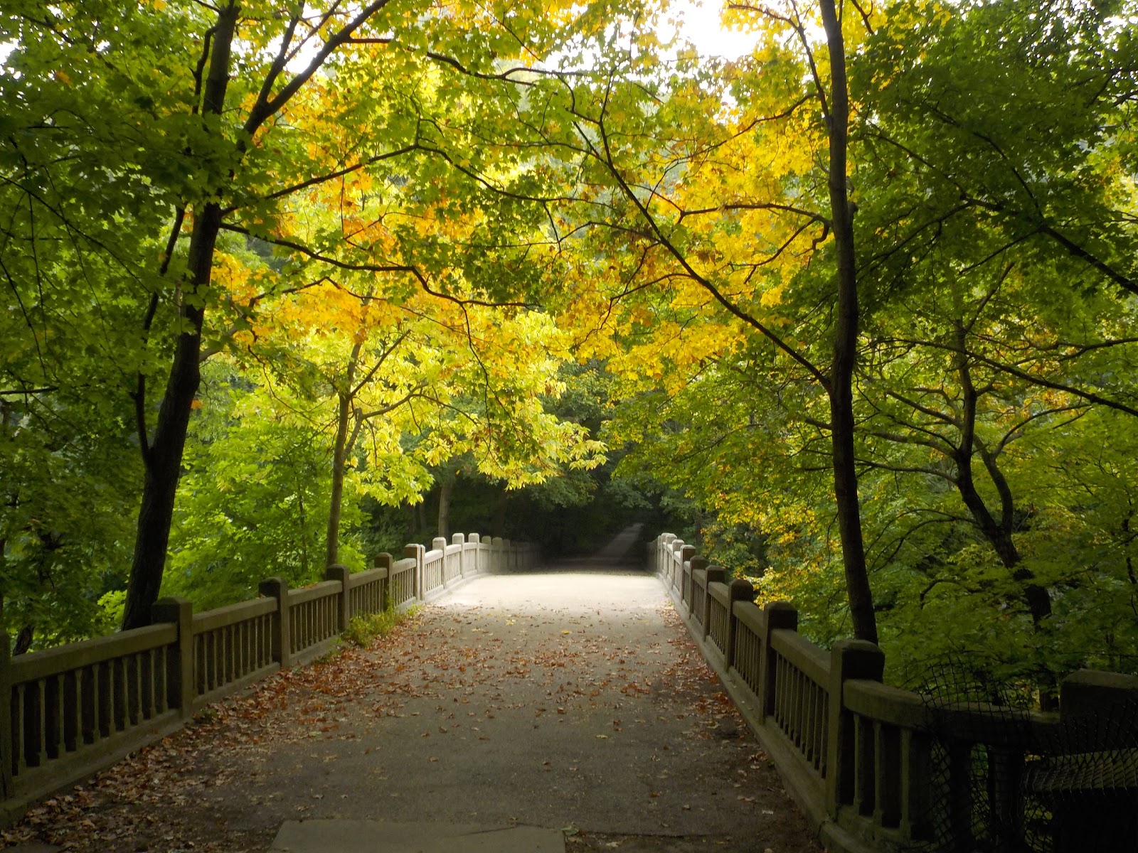 Hike Starved Rock: Matthiessen State Park, around the lake Sept 14, 2017