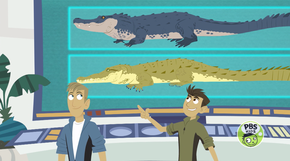 Miss Tracey Nolan: PBS KIDS: WILD KRATTS: SWAMP THINGS
