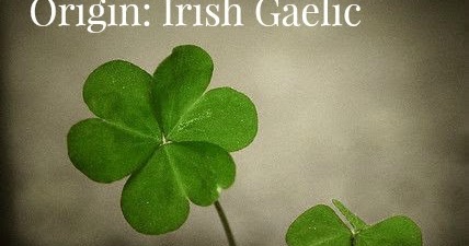 Name Enthusiast: Boys Name: Ciaran