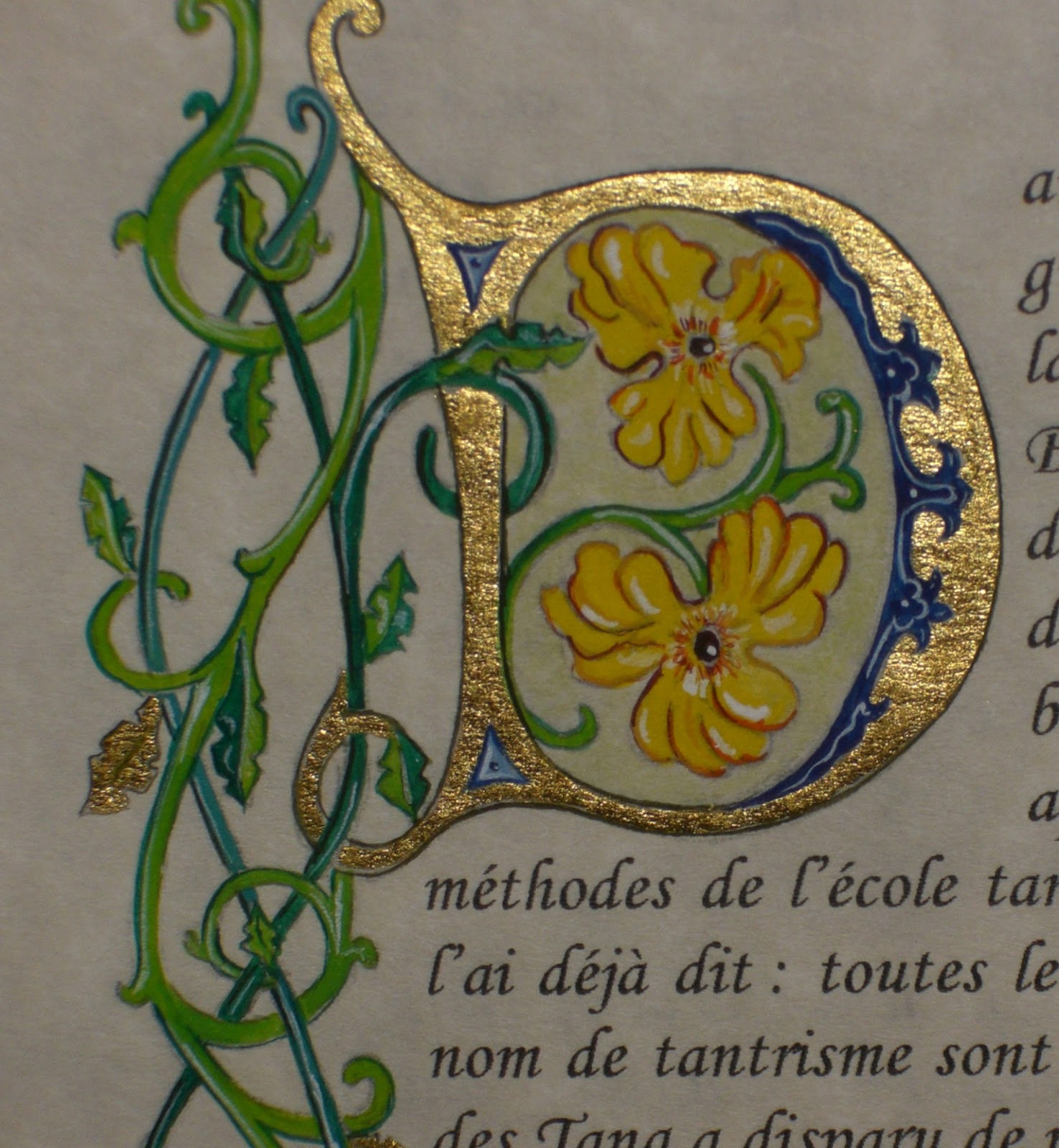 L'art en Lumière: Lettrines