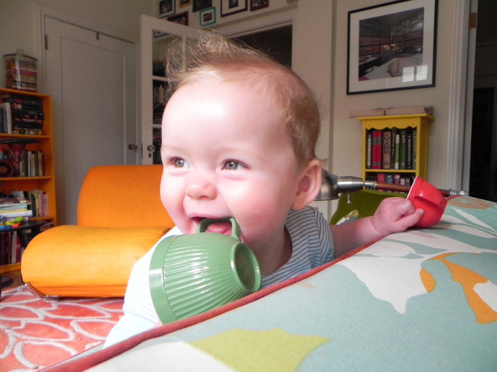 Spencer Alley: Measuring Cups