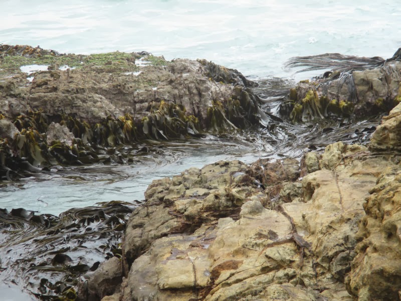 Neuseeland: Rohan (bzw. "MacKenzie Country")