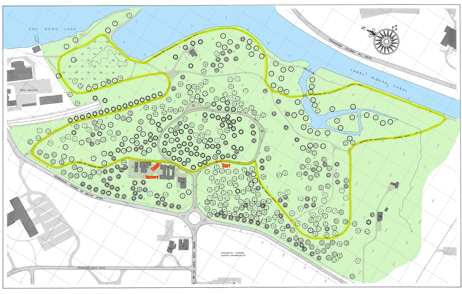Moynahan Studio: A Sunday Guided Walk at the Dominion Arboretum
