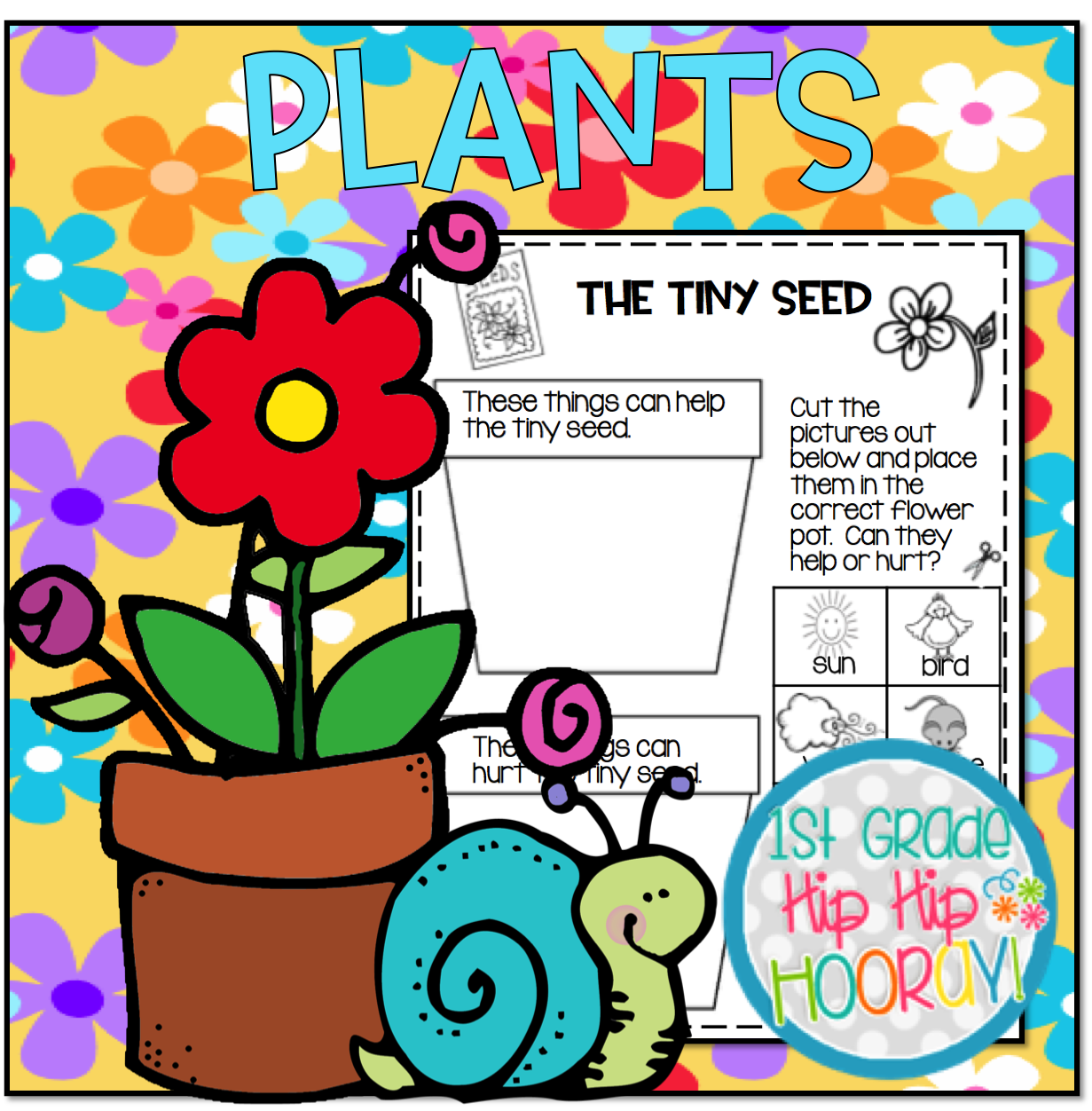 1st Grade Hip Hip Hooray!: Plants ... Growing our knowledge!