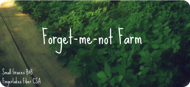 Forget-me-not Farm