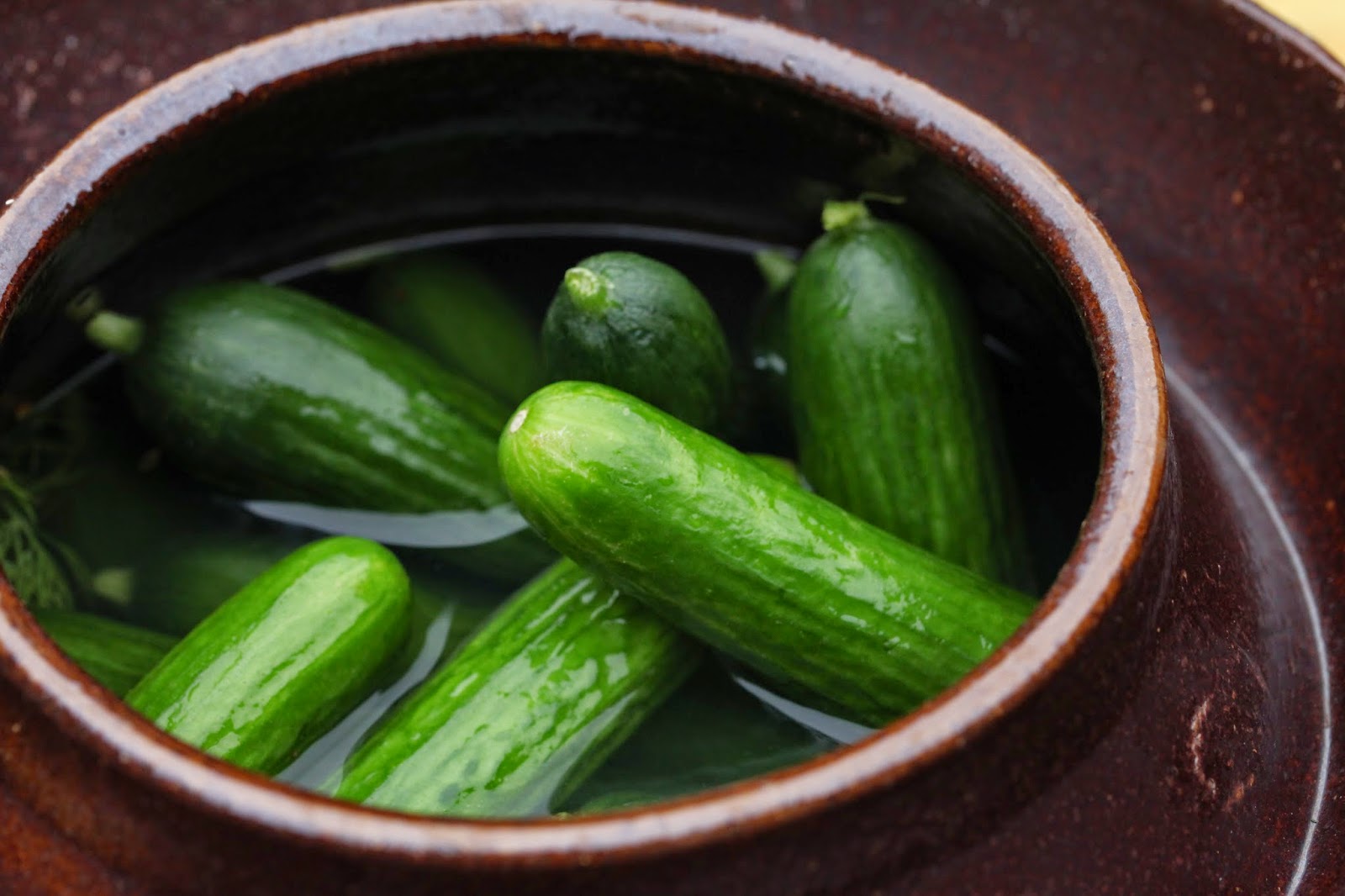 Salvation Sisters: Crock-Fermented Dill Pickles and May Roses